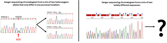 Amplicon sequencing and high-throughput genotyping – Basics – Sixth ... Amplicon sequencing and high-throughput genotyping – Basics – Sixth ...