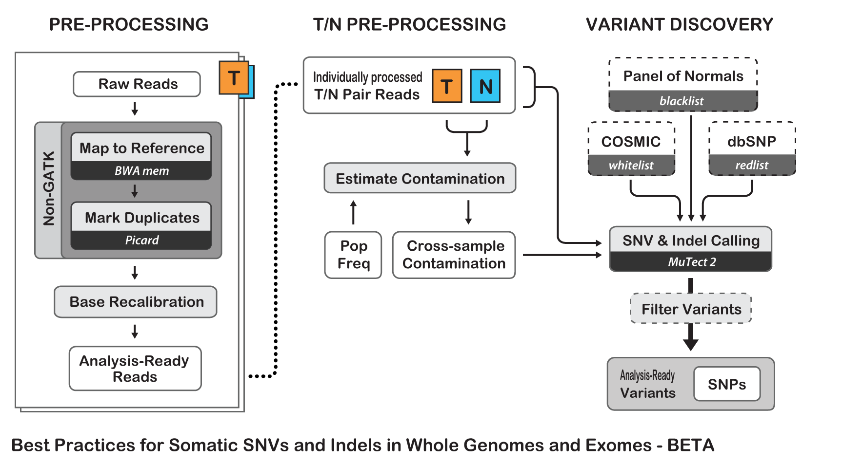 Somatic Variants Sixth Researcher 